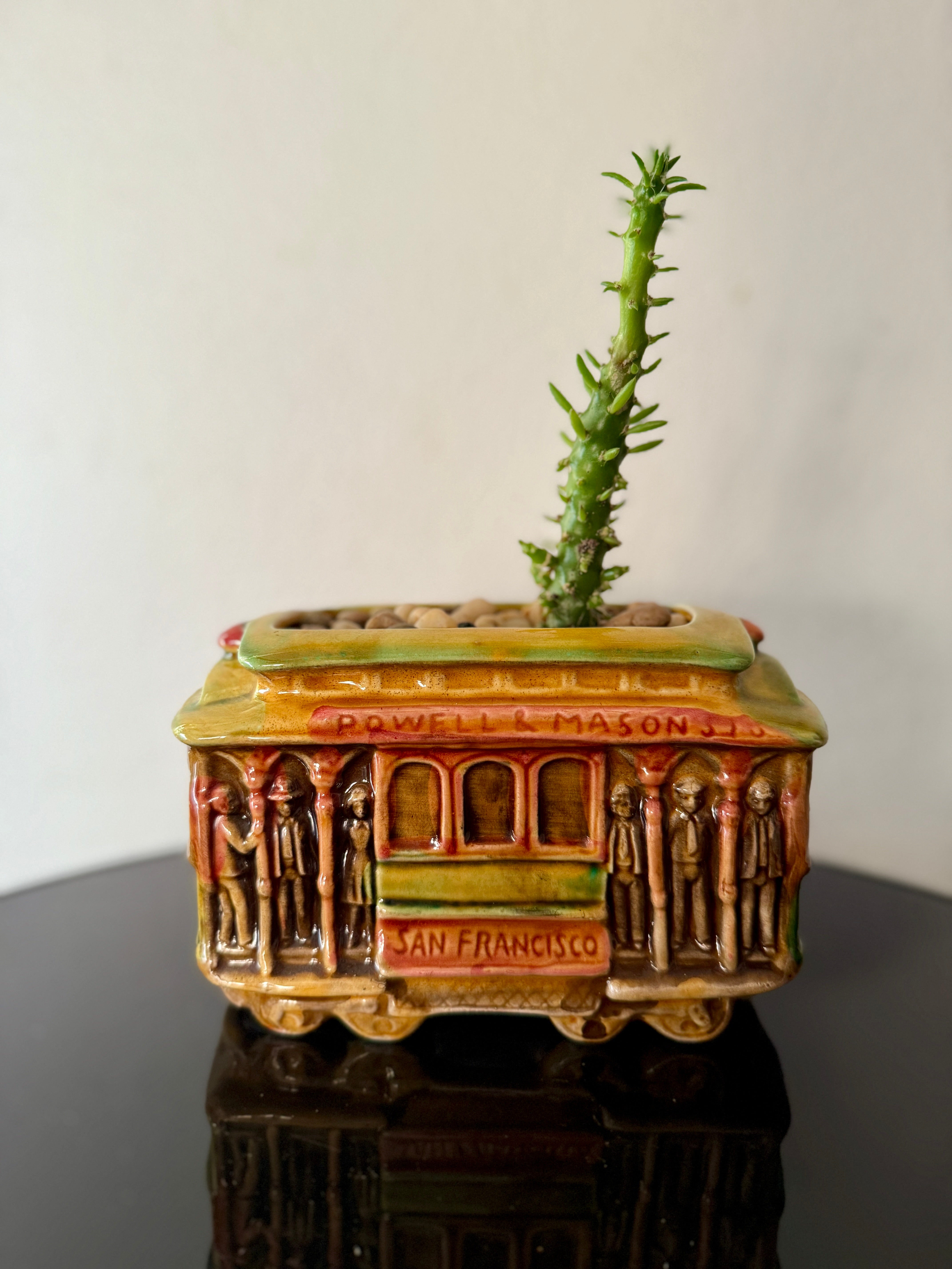 Eve's Needle Cactus in San Francisco Streetcar Planter – Golden Age Design