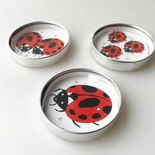 Ladybird Puzzle Game – Golden Age Design